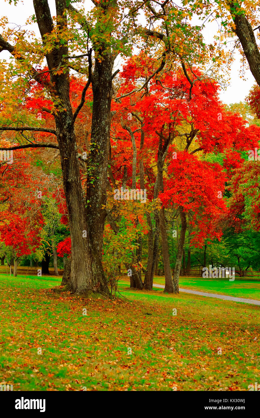Colorful fall scenery Stock Photo - Alamy