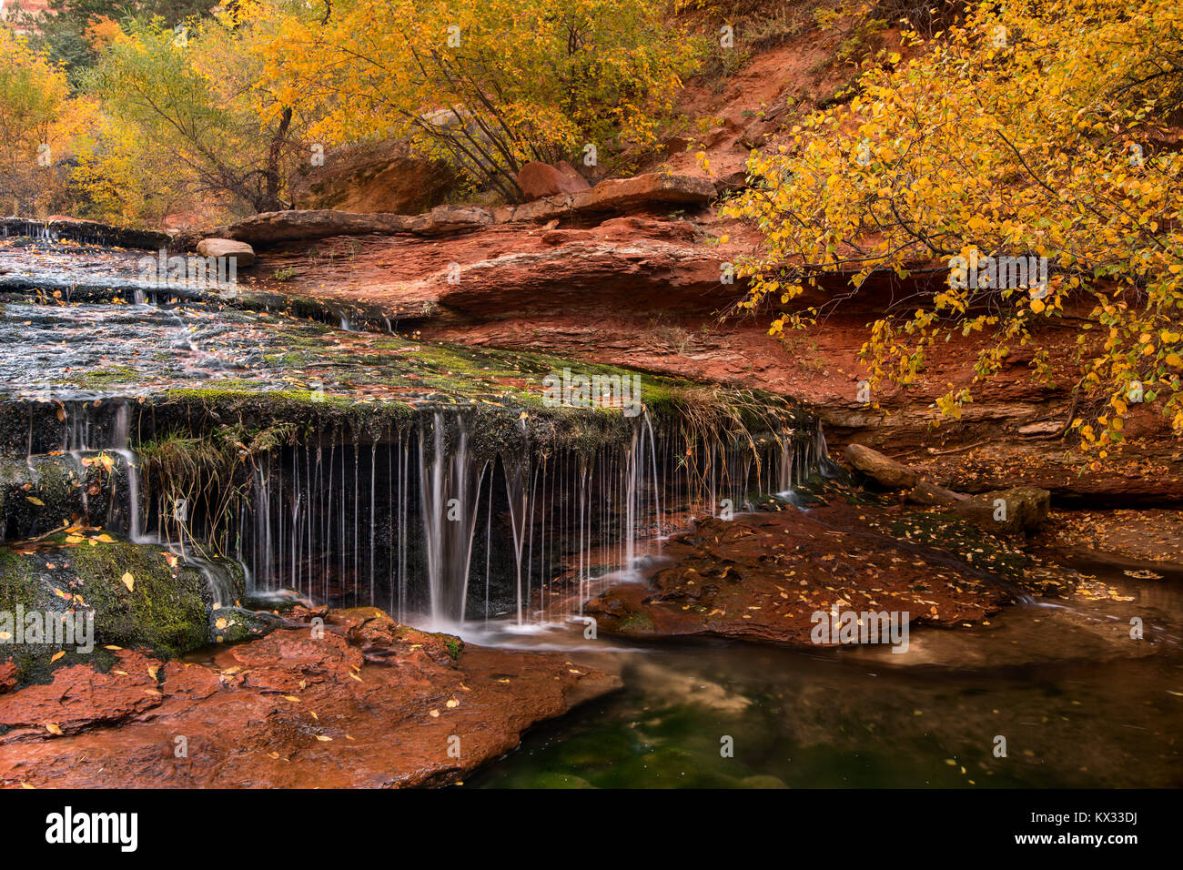 The beautiful hike to The Subway in Zion National Park in the Fall ...
