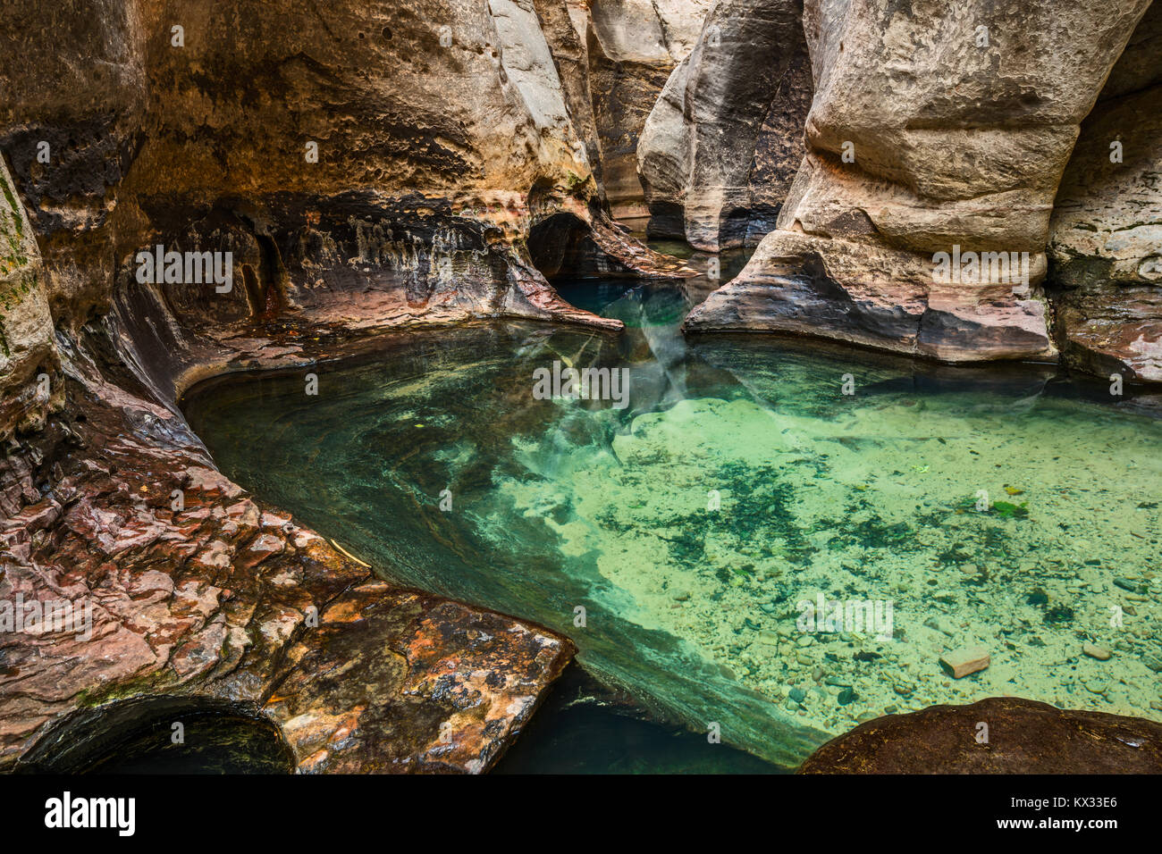 The beautiful hike to The Subway in Zion National Park in the Fall ...
