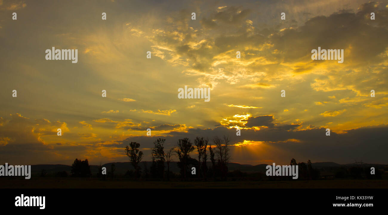 African landscape with a setting sun, silhouetted trees and the rays of ...