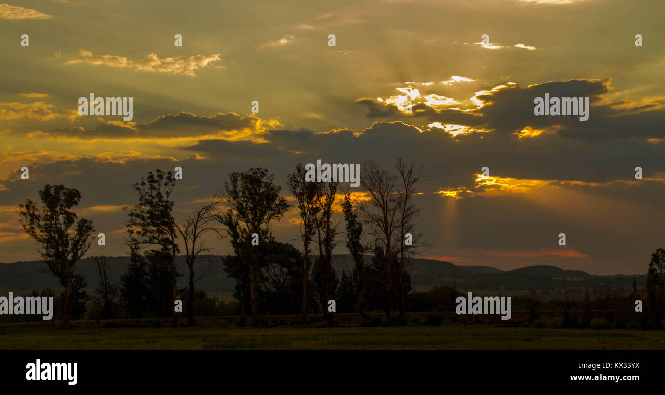 African landscape with a setting sun, silhouetted trees and the rays of ...