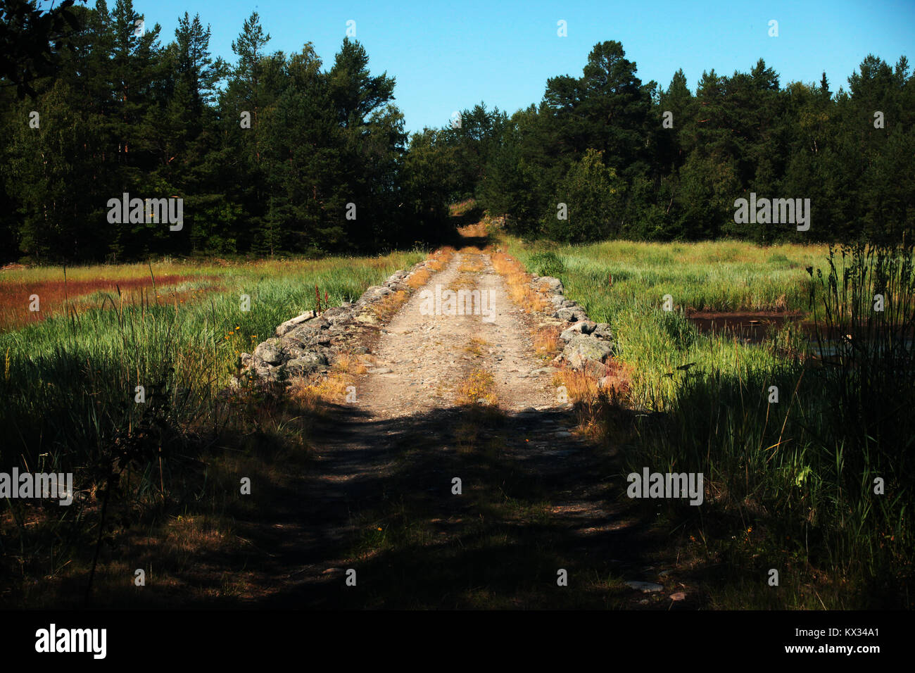 The old road of the 19th century, built through the swamp Stock Photo ...