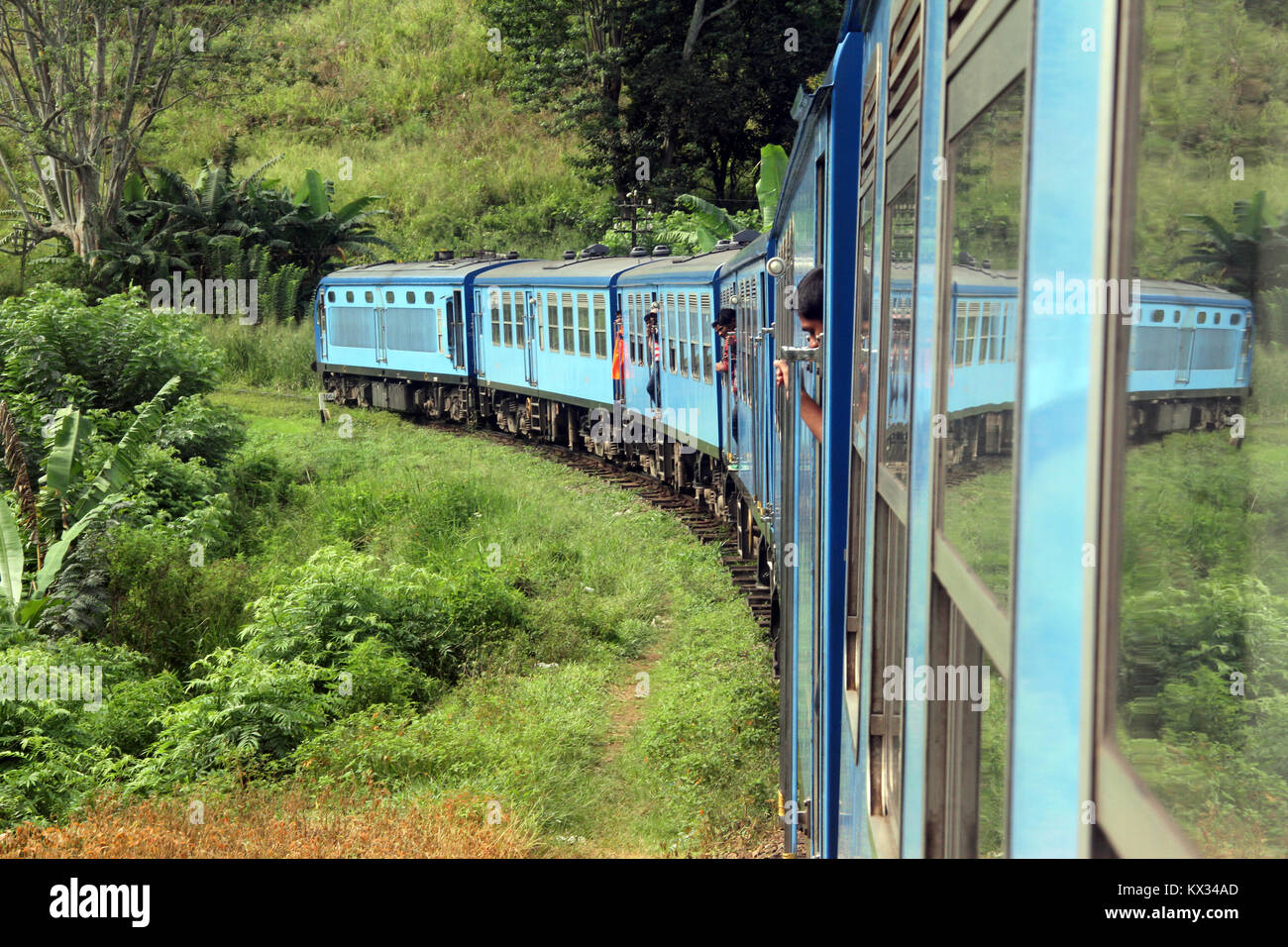 Blue train and green palm trees in Sri Lanka Stock Photo - Alamy