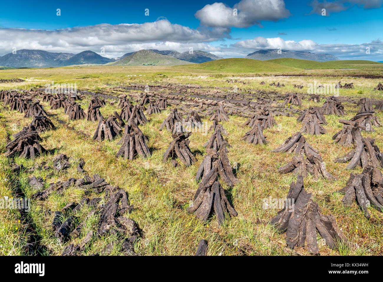 Peat drying hi-res stock photography and images - Alamy