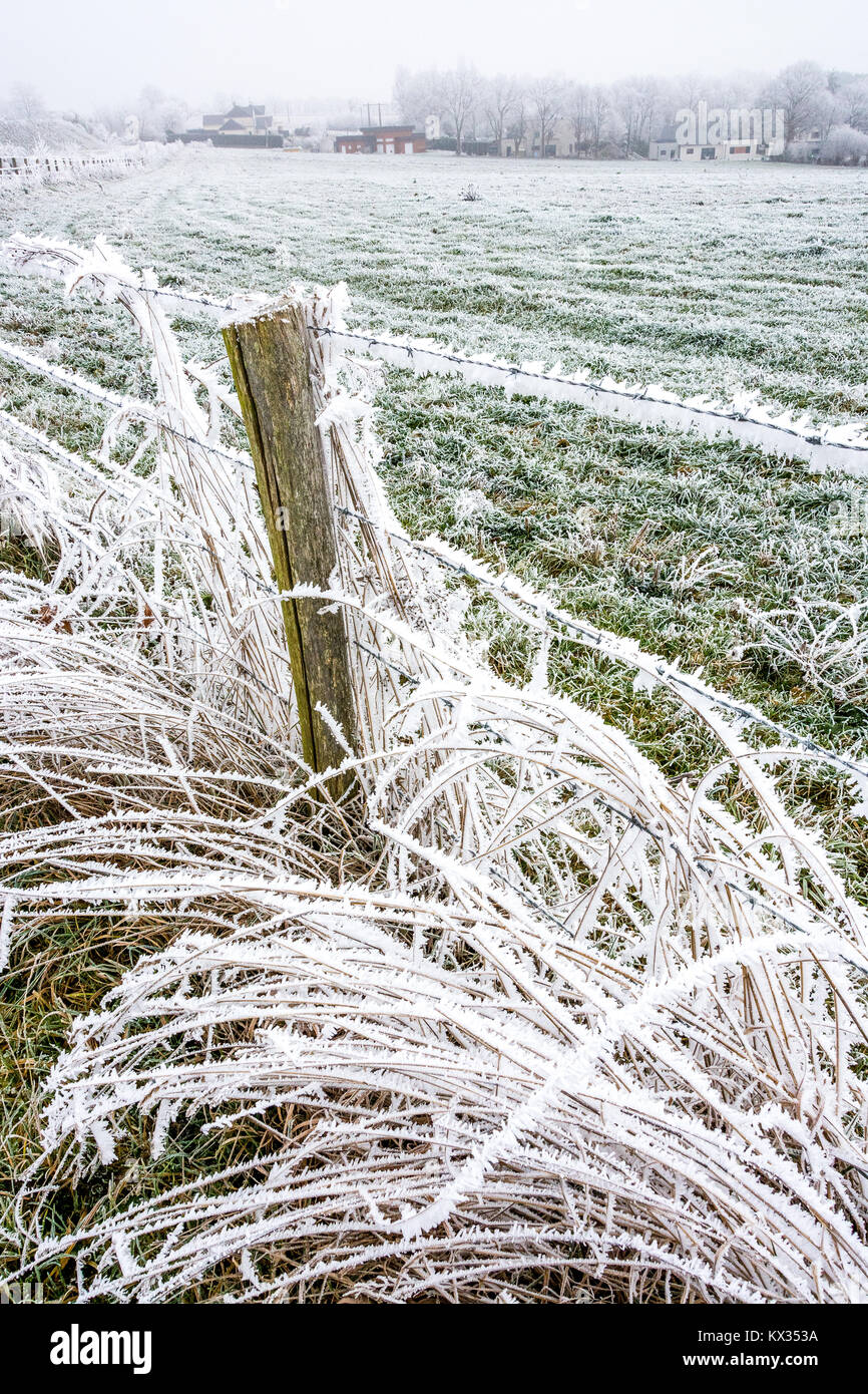 Frozen fence. Thousands of ice stalactites formed on the barbed wire ...