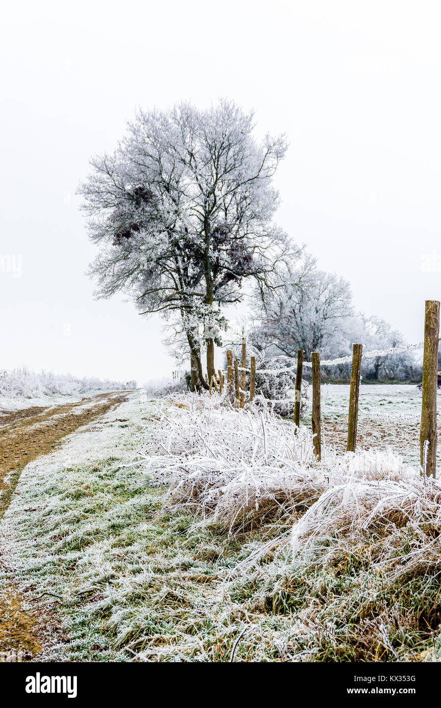 Icy landscape. Dirt road, fence and frozen vegetation Stock Photo - Alamy
