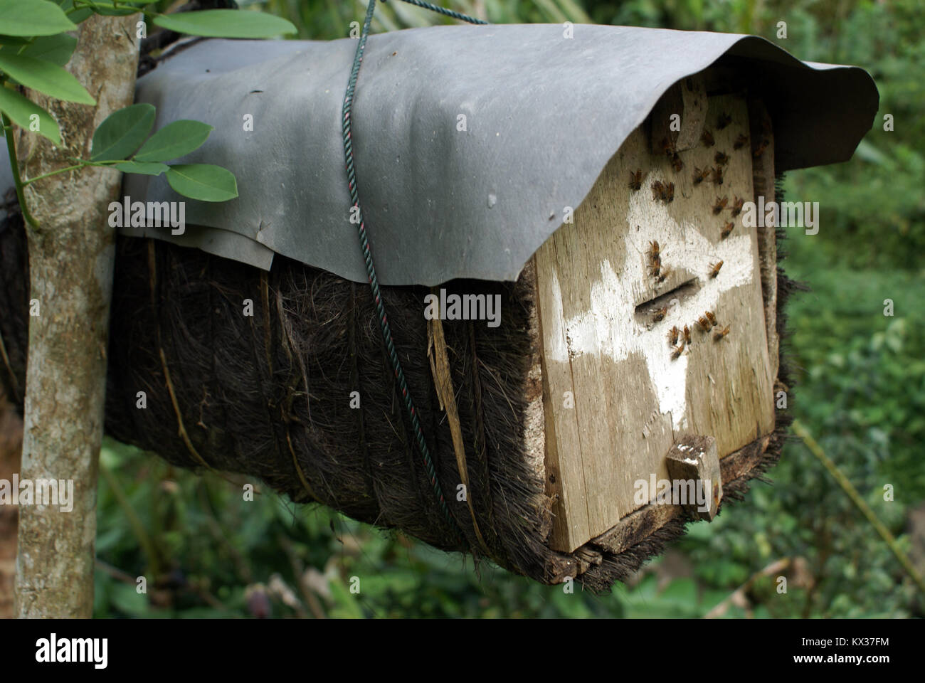 Crate beehive hi-res stock photography and images - Alamy