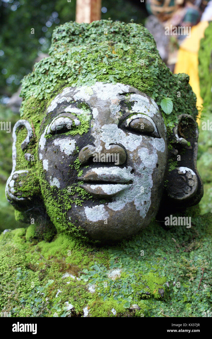 Green demon hi-res stock photography and images - Alamy