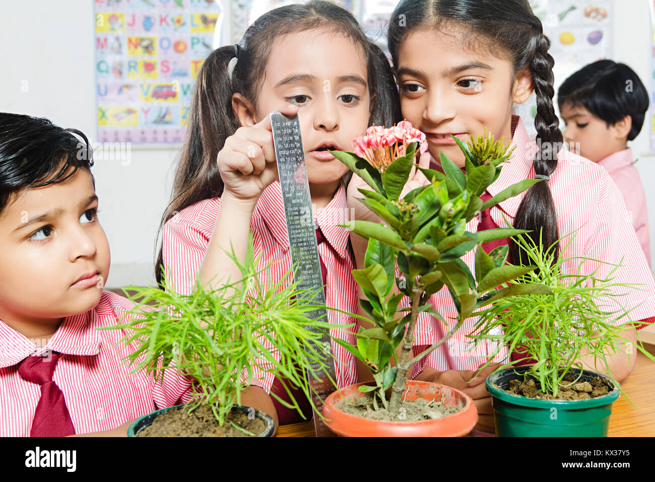 Indian ruler High Resolution Stock Photography and Images - Alamy