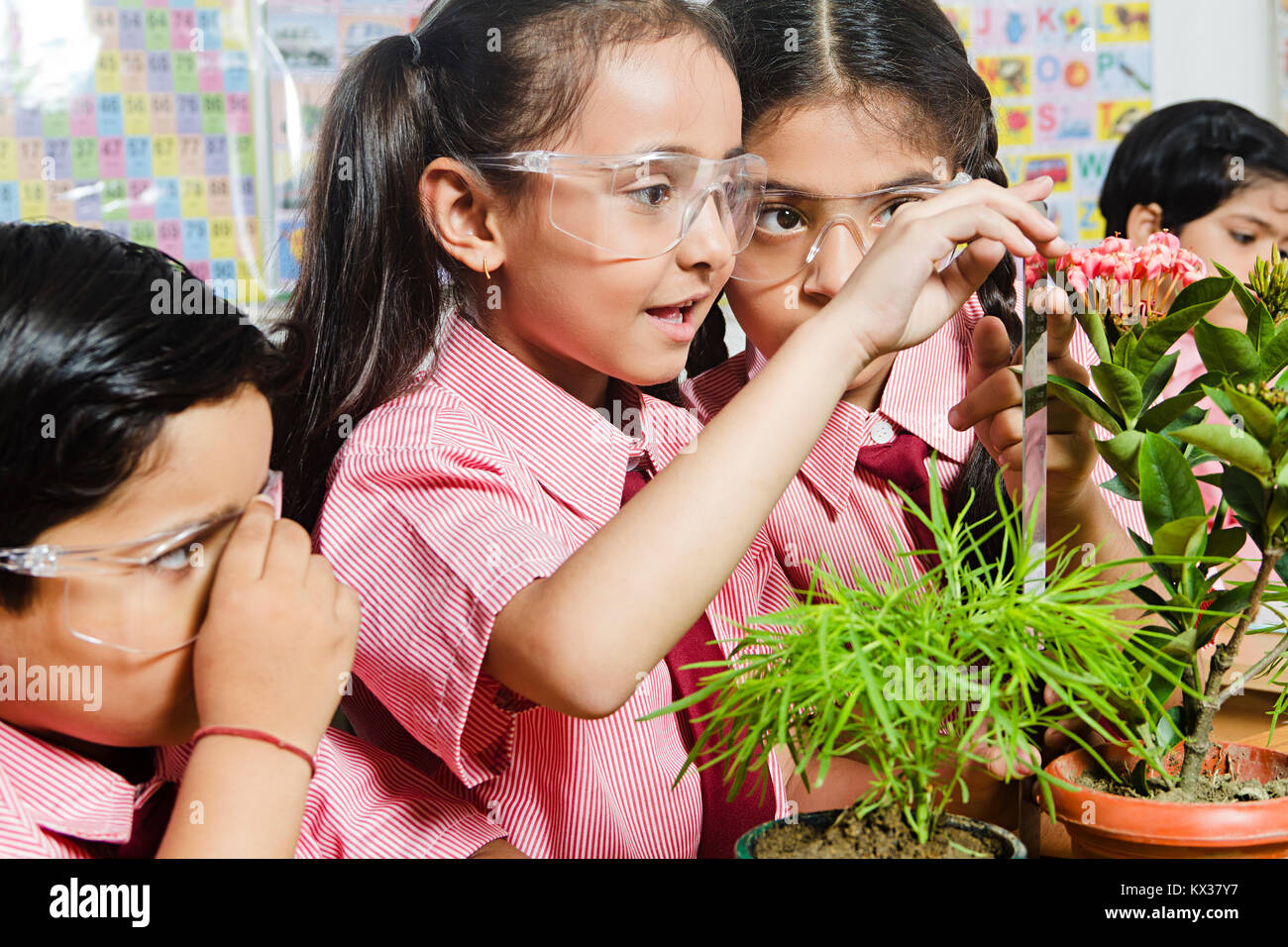 School Kids Students Ruler Measuring Plant Environmental-concern ...