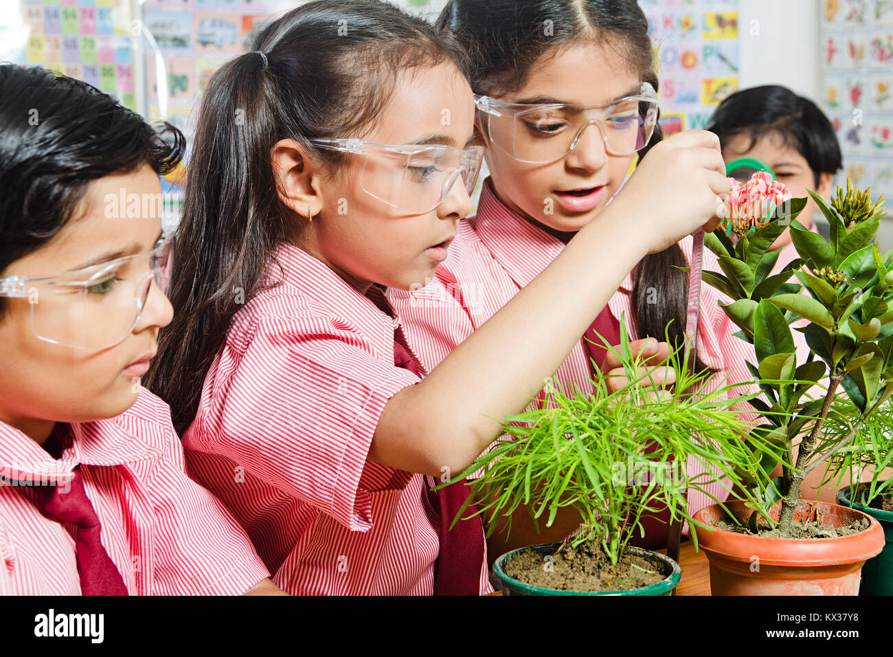 School Kids Students Ruler Measuring Plant Checking Environment Growth ...