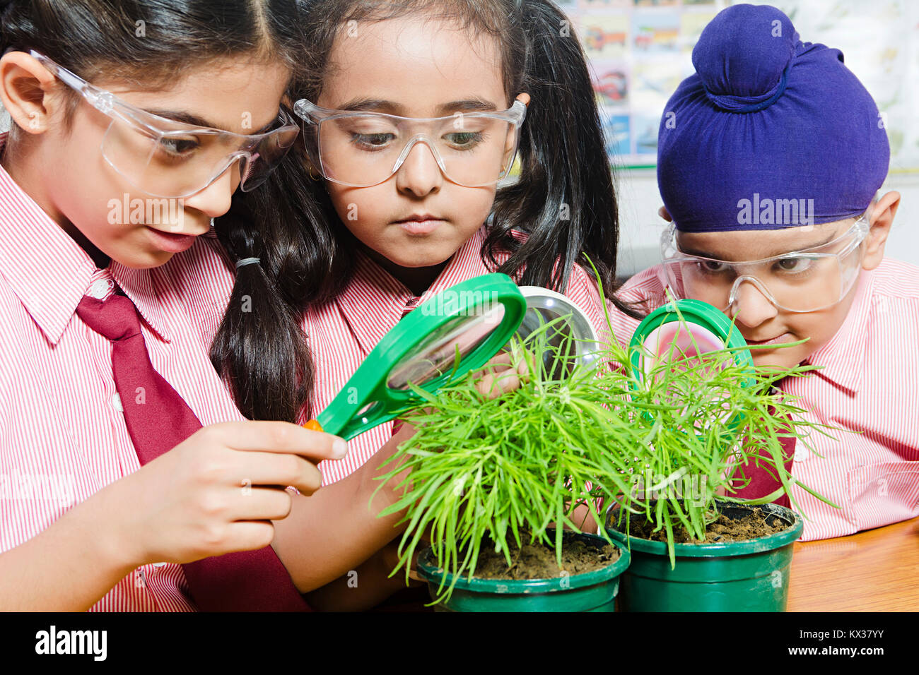 Indian School Kids Students Magnifying Glass Checking Plant ...