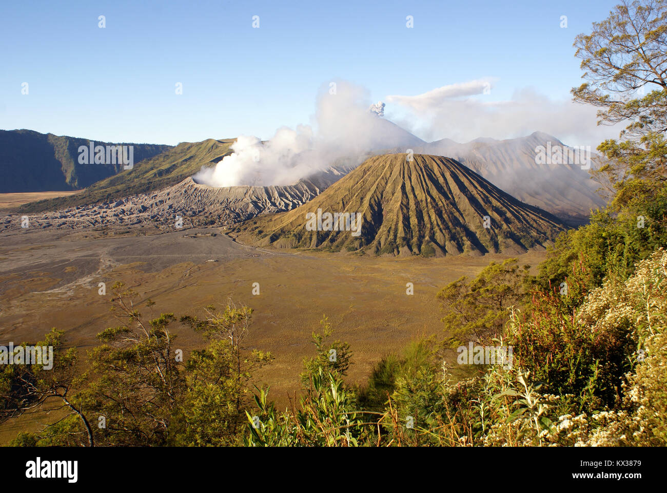 Volcanos in caldera and trees on the slope Stock Photo - Alamy
