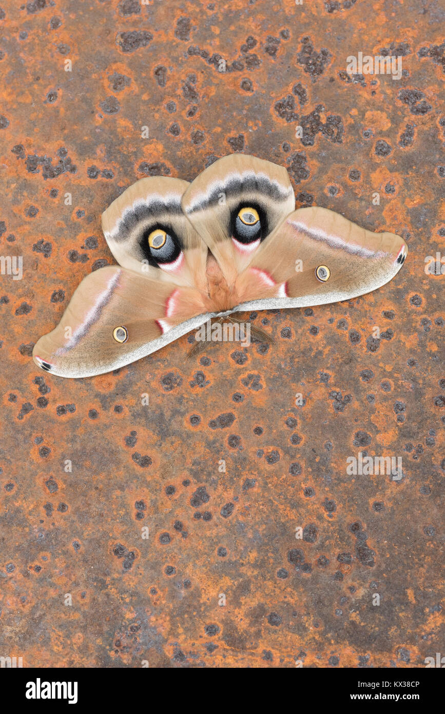 Old sawmill hi-res stock photography and images - Alamy