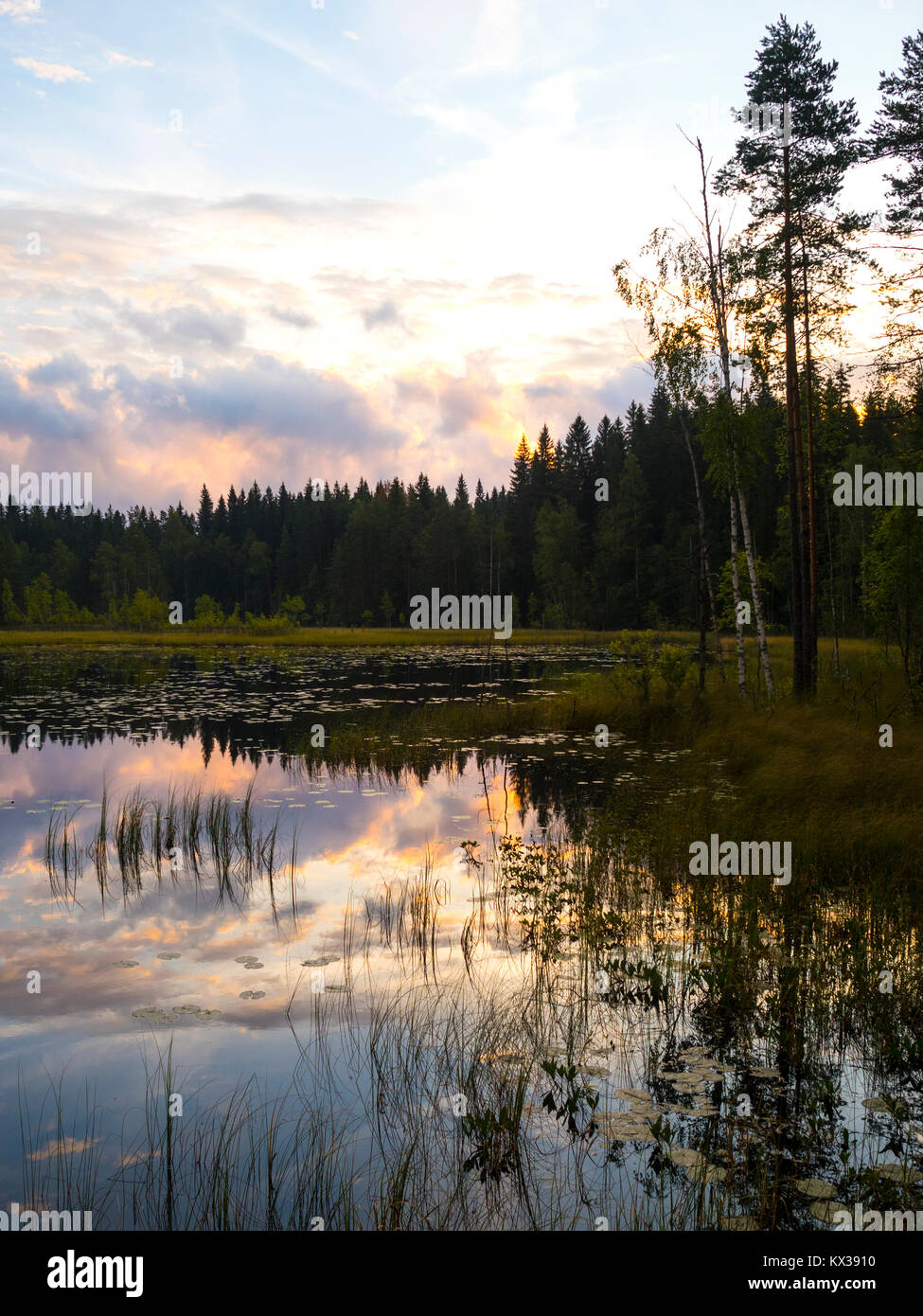 Amazing Lakeside Views - Lusi, Finland Stock Photo - Alamy