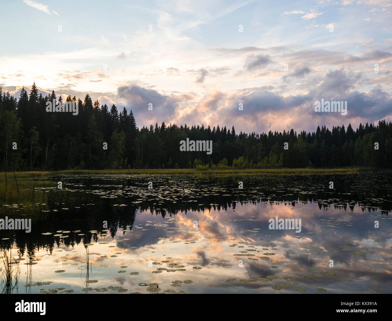 Lusi hi-res stock photography and images - Alamy