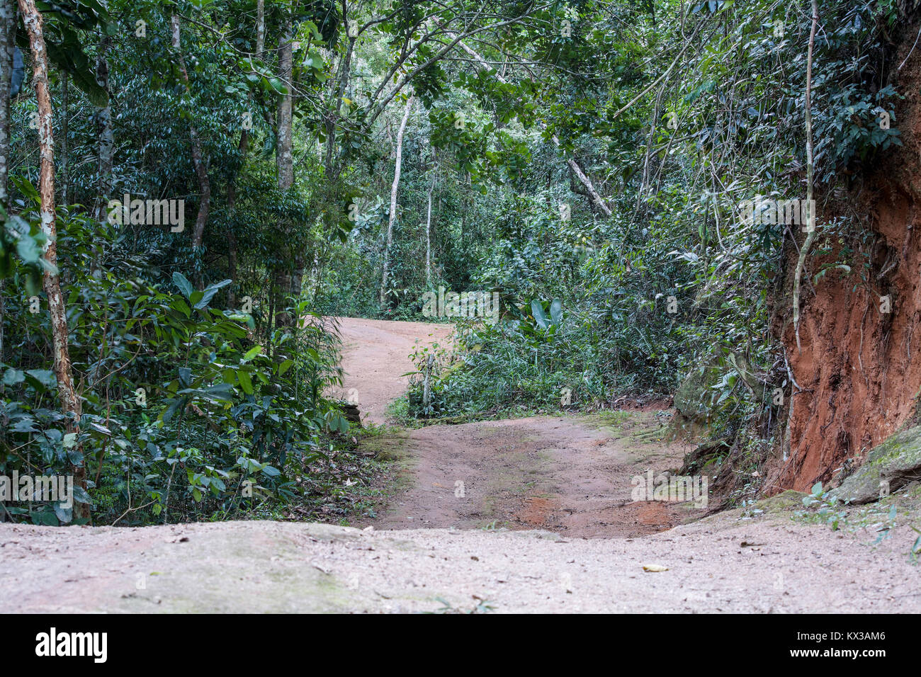 Deforestation rainforest erosion hi-res stock photography and images ...