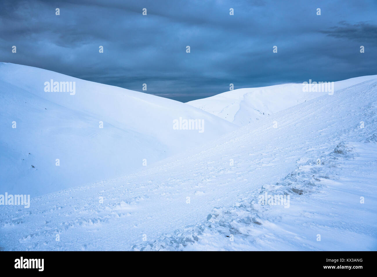 Arctic desert, where it ends at the northern Stock Photo - Alamy