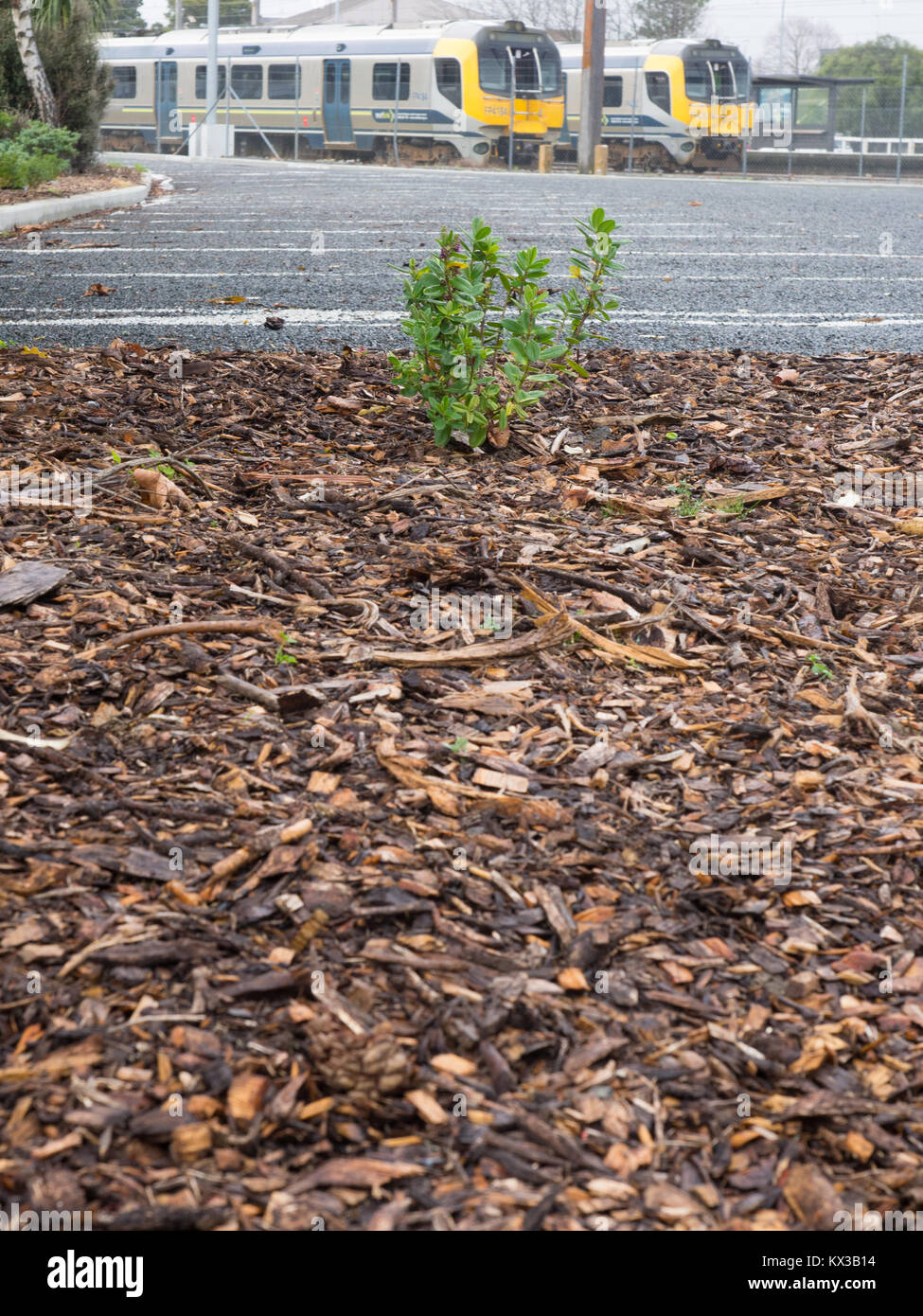 Car Park Garden Stock Photo - Alamy
