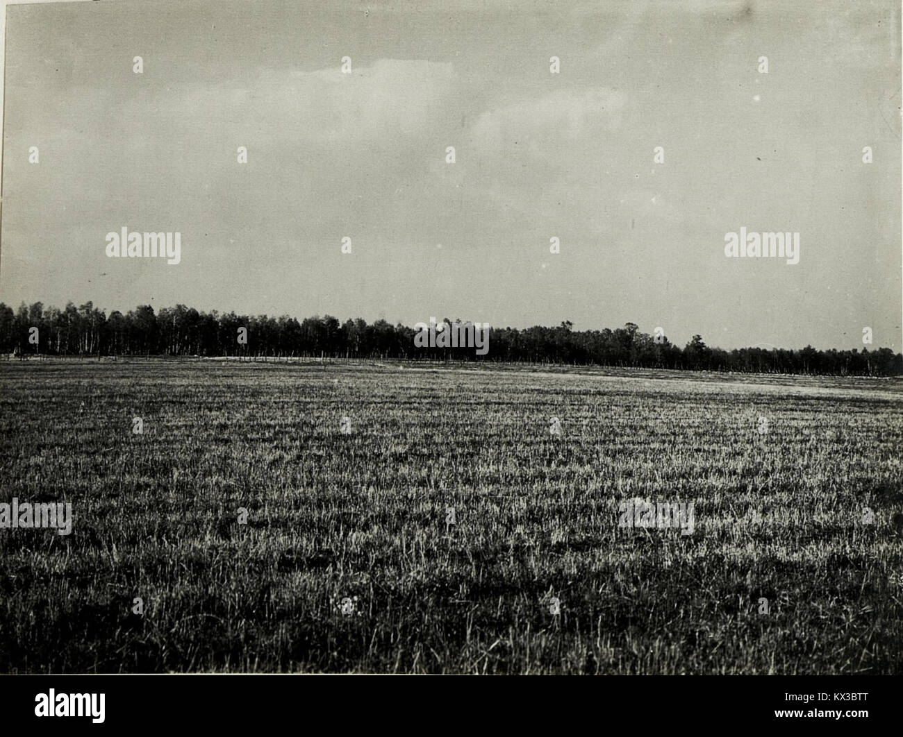 Photograph of wire obstacles positioned on the ridge east of Delawa ...