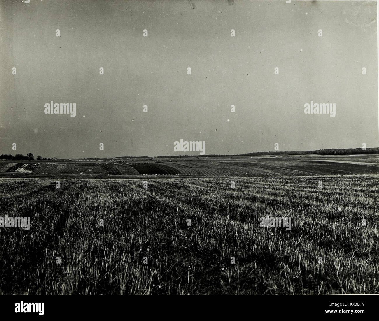This image depicts a fence of wire obstacles located to the east of ...