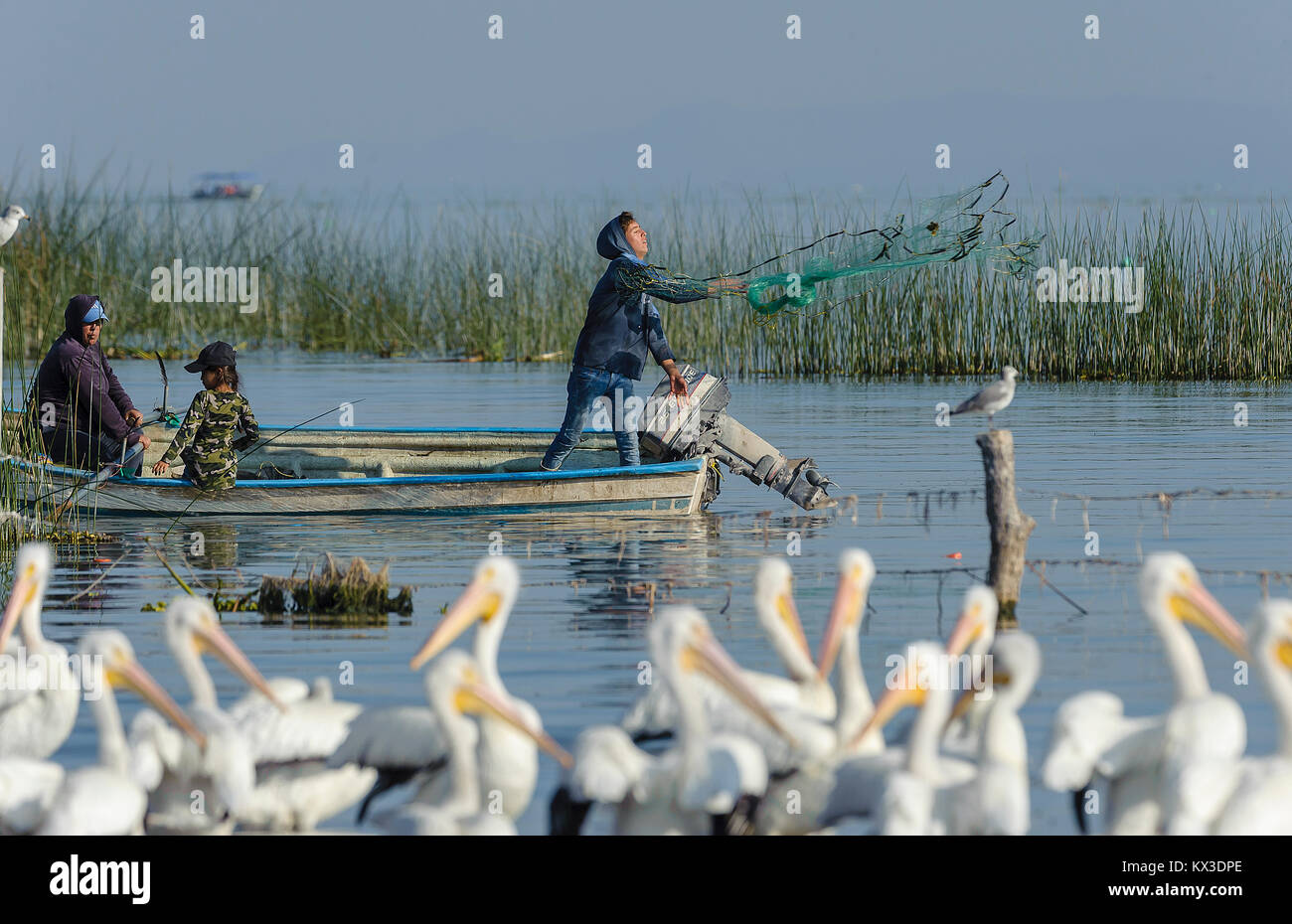 Fisherman casting net on Lake Chapala, Jalisco, Mexico Stock Photo - Alamy