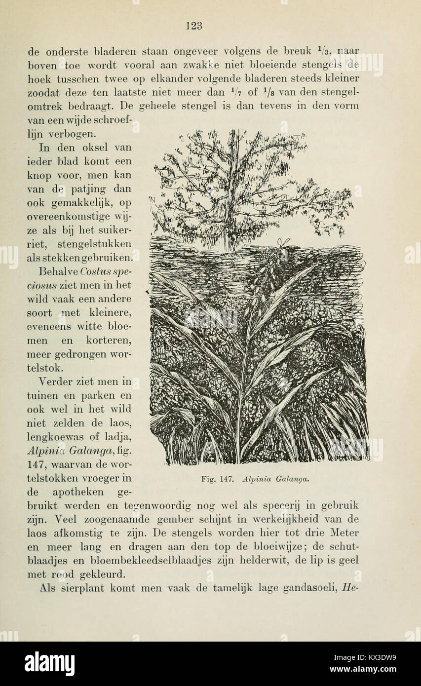 A page from the 'Beknopt leerboek der plantkunde voor Nederlandsch ...