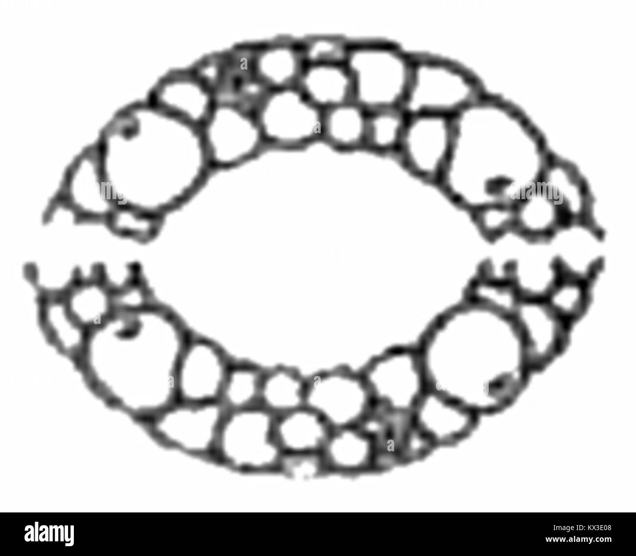 Chemistry archive Cut Out Stock Images & Pictures - Alamy