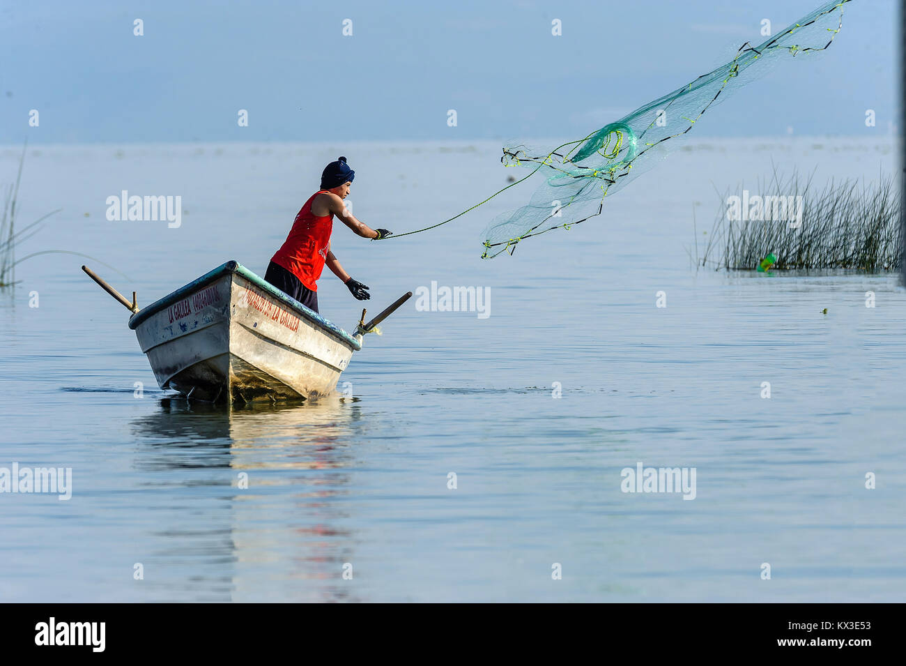 Fisherman casting net on Lake Chapala, Jalisco, Mexico Stock Photo - Alamy