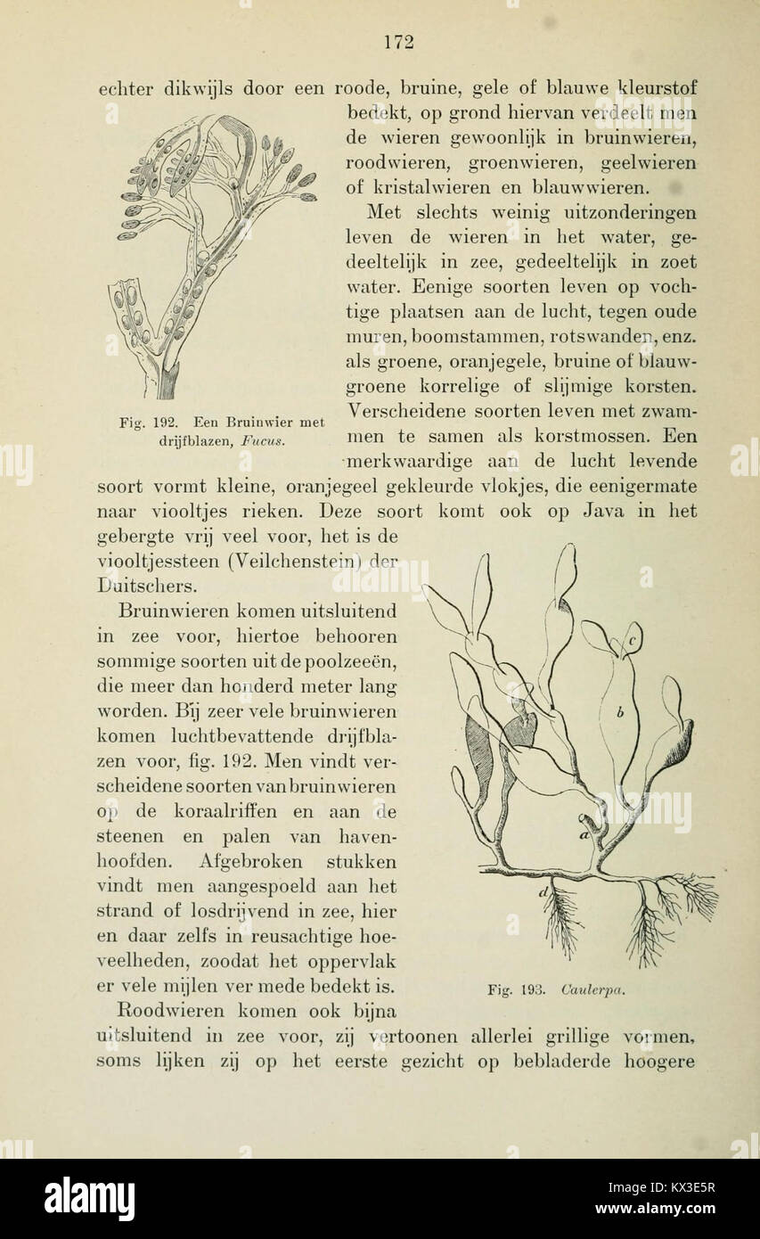 Nederlandsch indies hi-res stock photography and images - Alamy