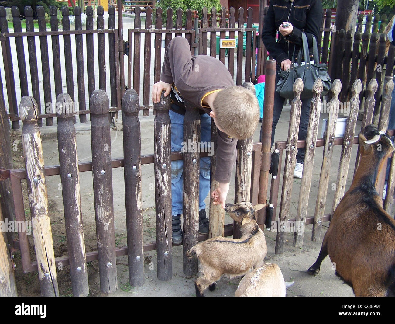 This image depicts a collection or area dedicated to animals ...