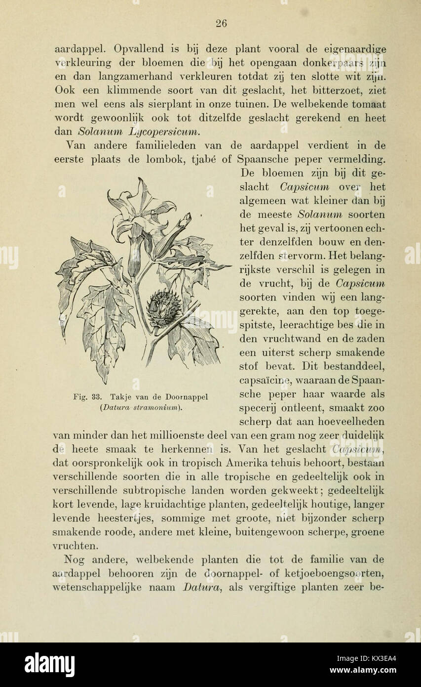 This is a Dutch-language textbook on botany for the former Dutch colony ...