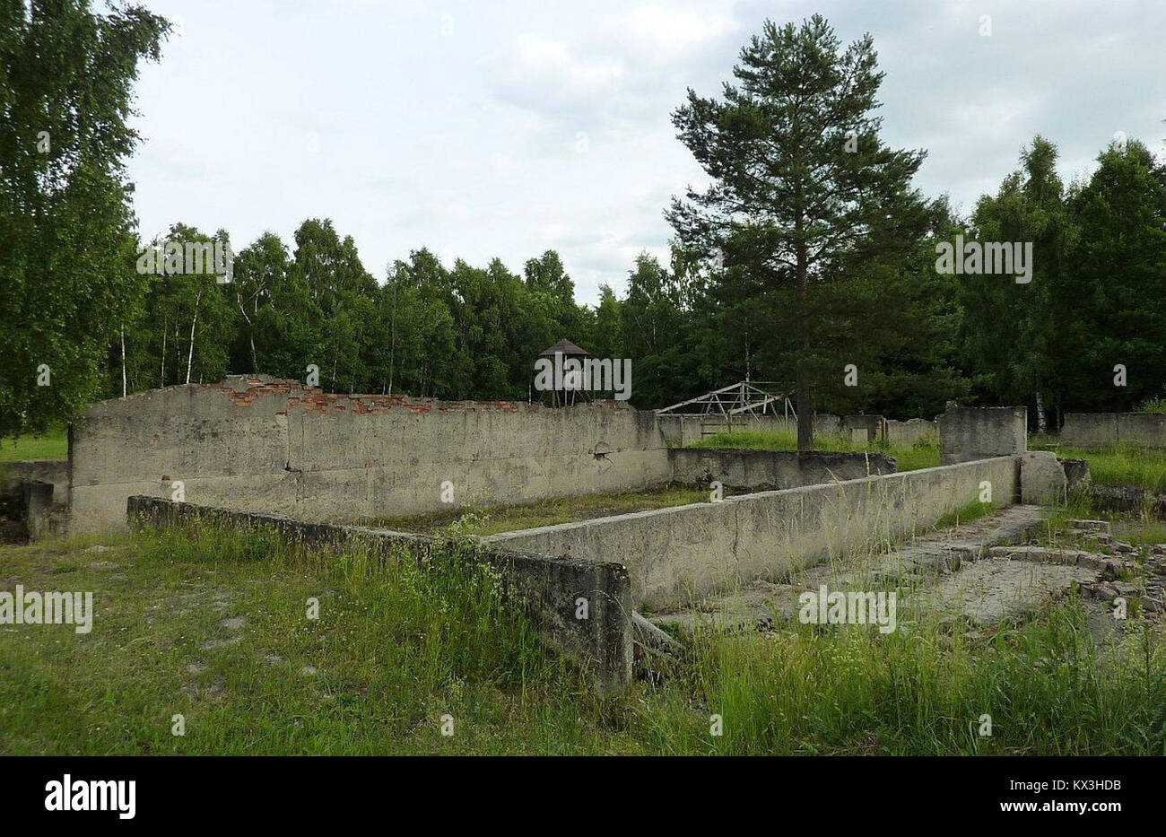 A historical photograph depicting a Soviet POW camp in Lambinowice ...
