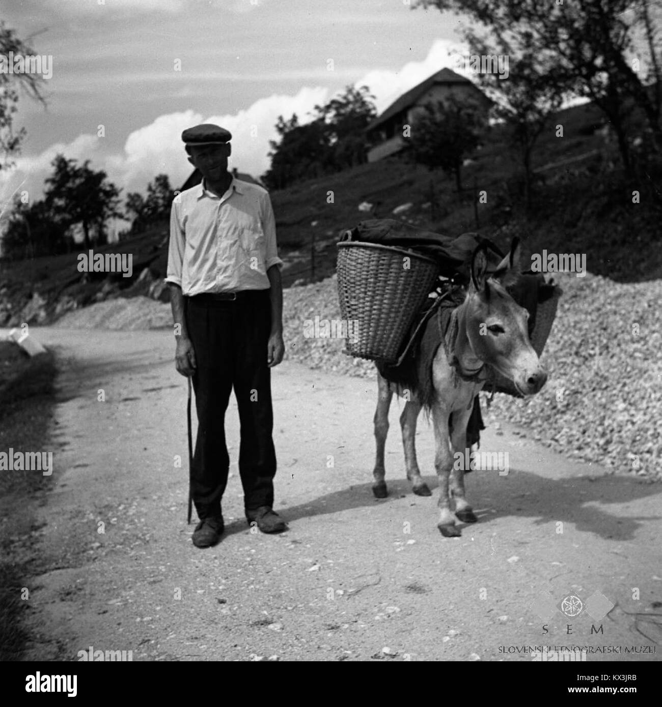 Donkey photograph Black and White Stock Photos & Images - Alamy