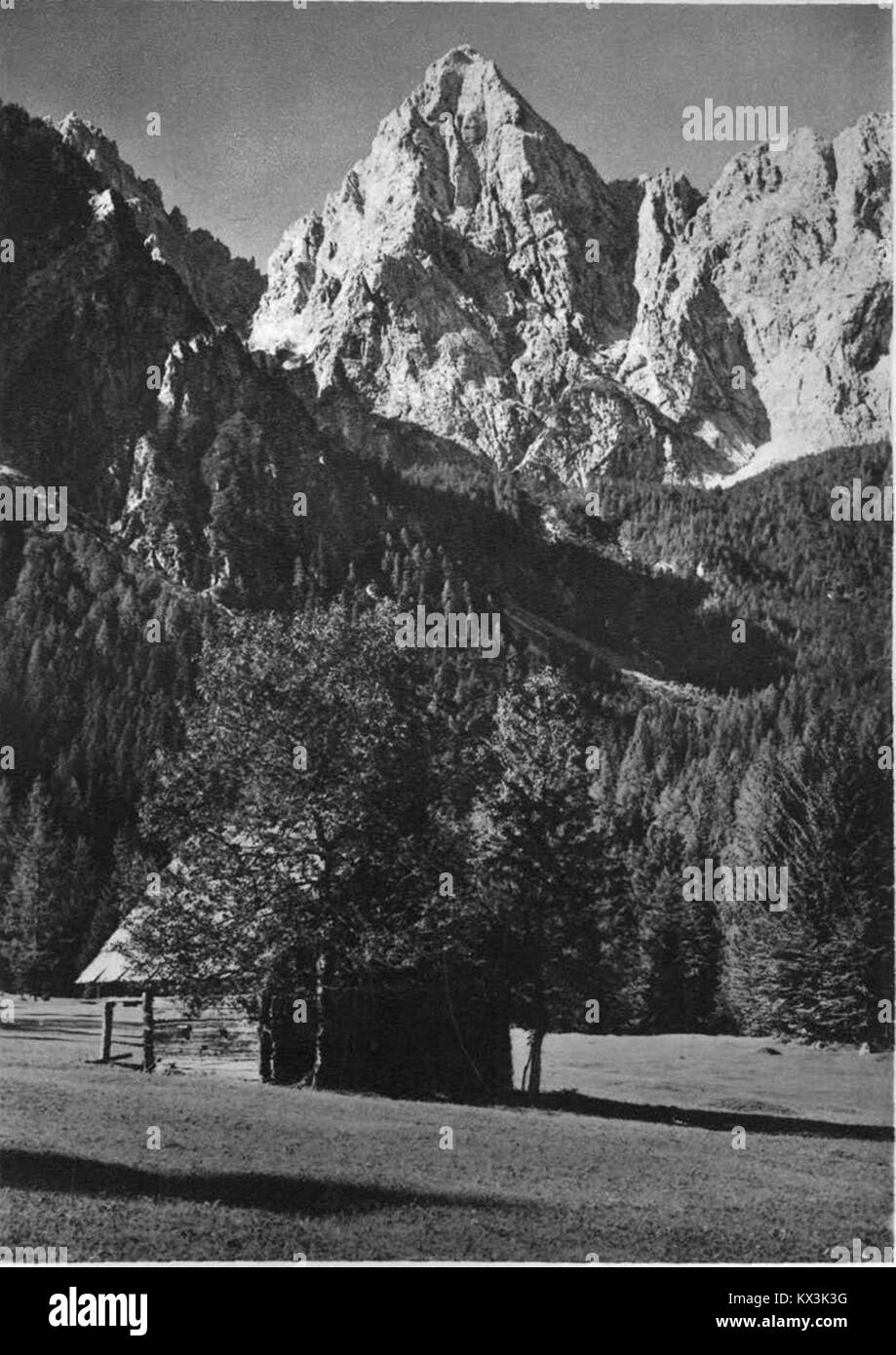 A photograph taken in 1928 capturing the natural beauty of the ...