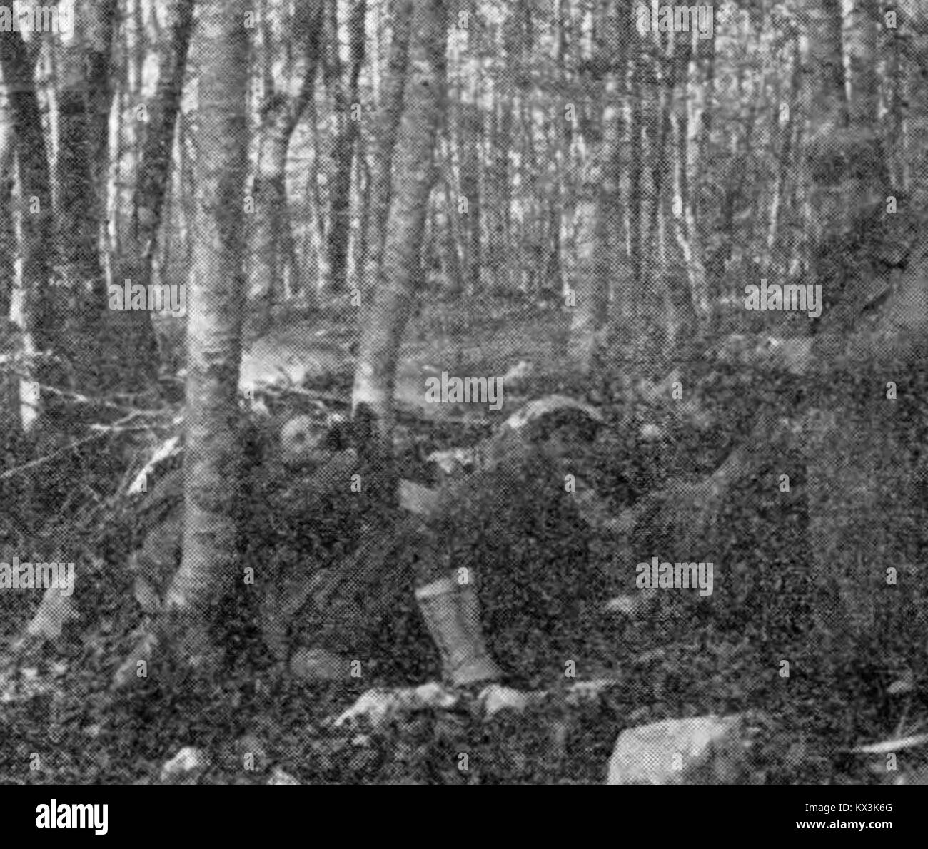 The command staff of the XVIII Division during an offensive at ...