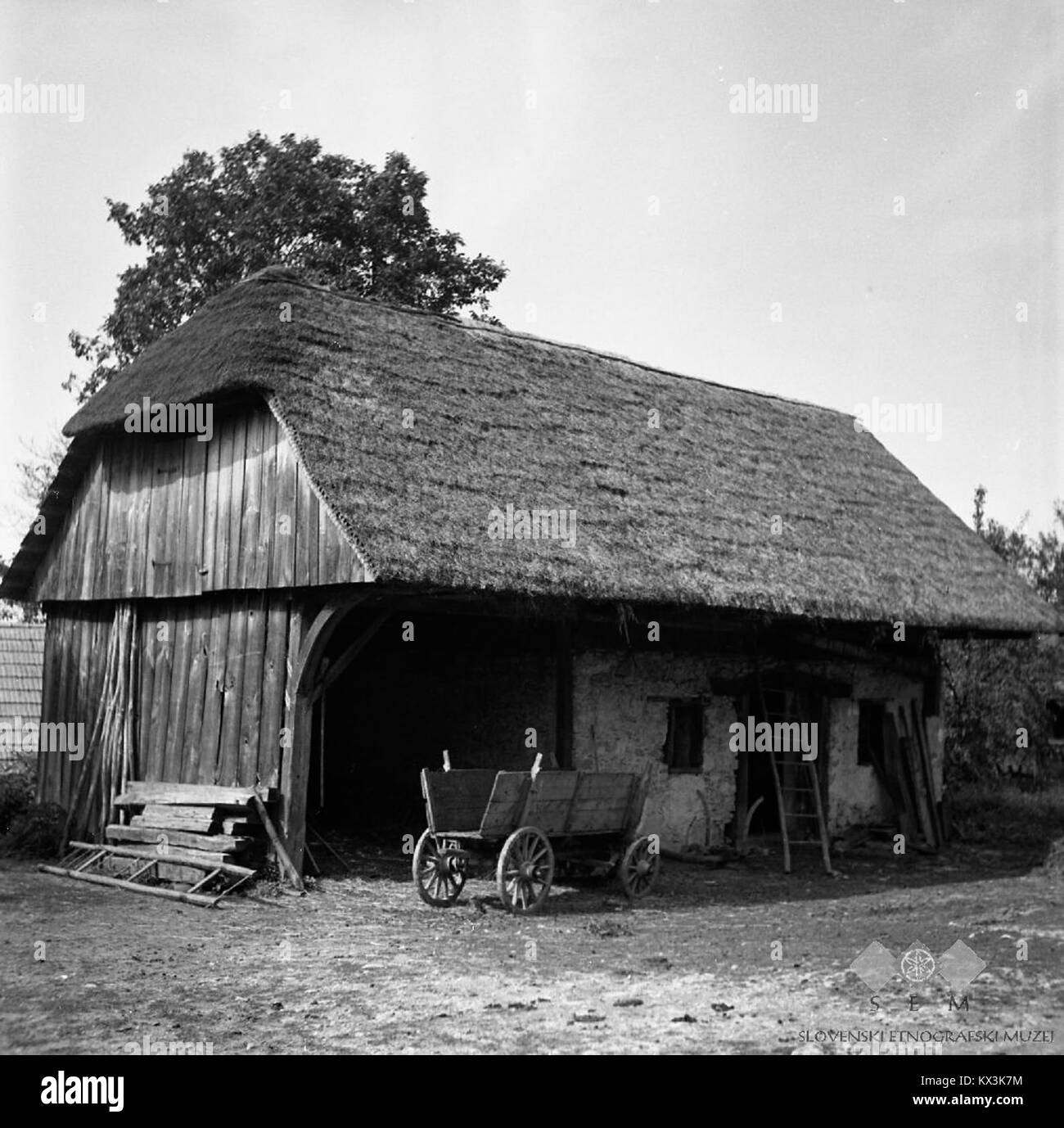 Leaf shed Black and White Stock Photos & Images - Alamy
