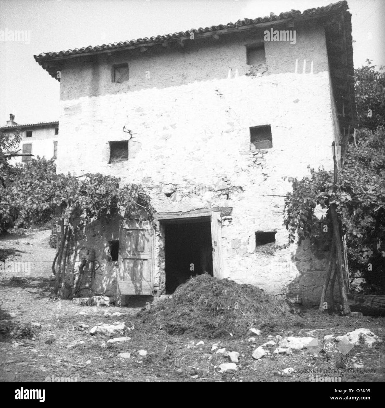 A photograph from 1953 of Stala (hlev), Slapnik, capturing a rural farm ...