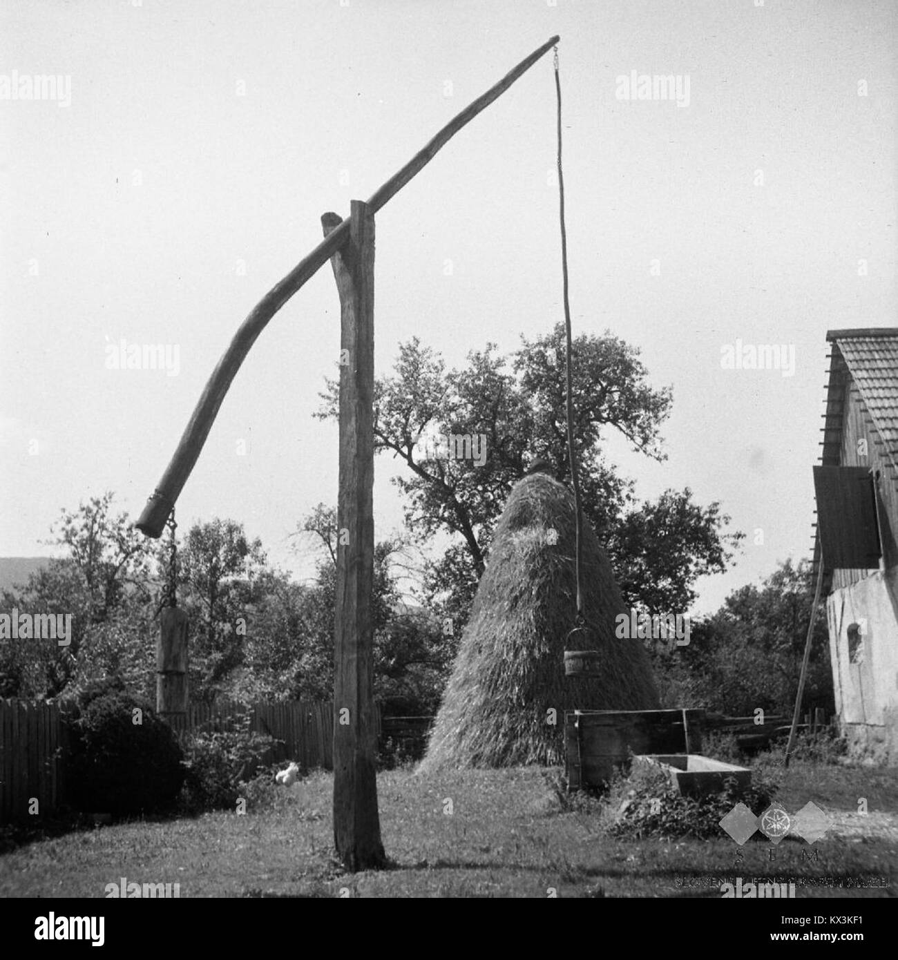A photograph from 1956 depicting a deer (Stirna) near a well (vodnjak ...