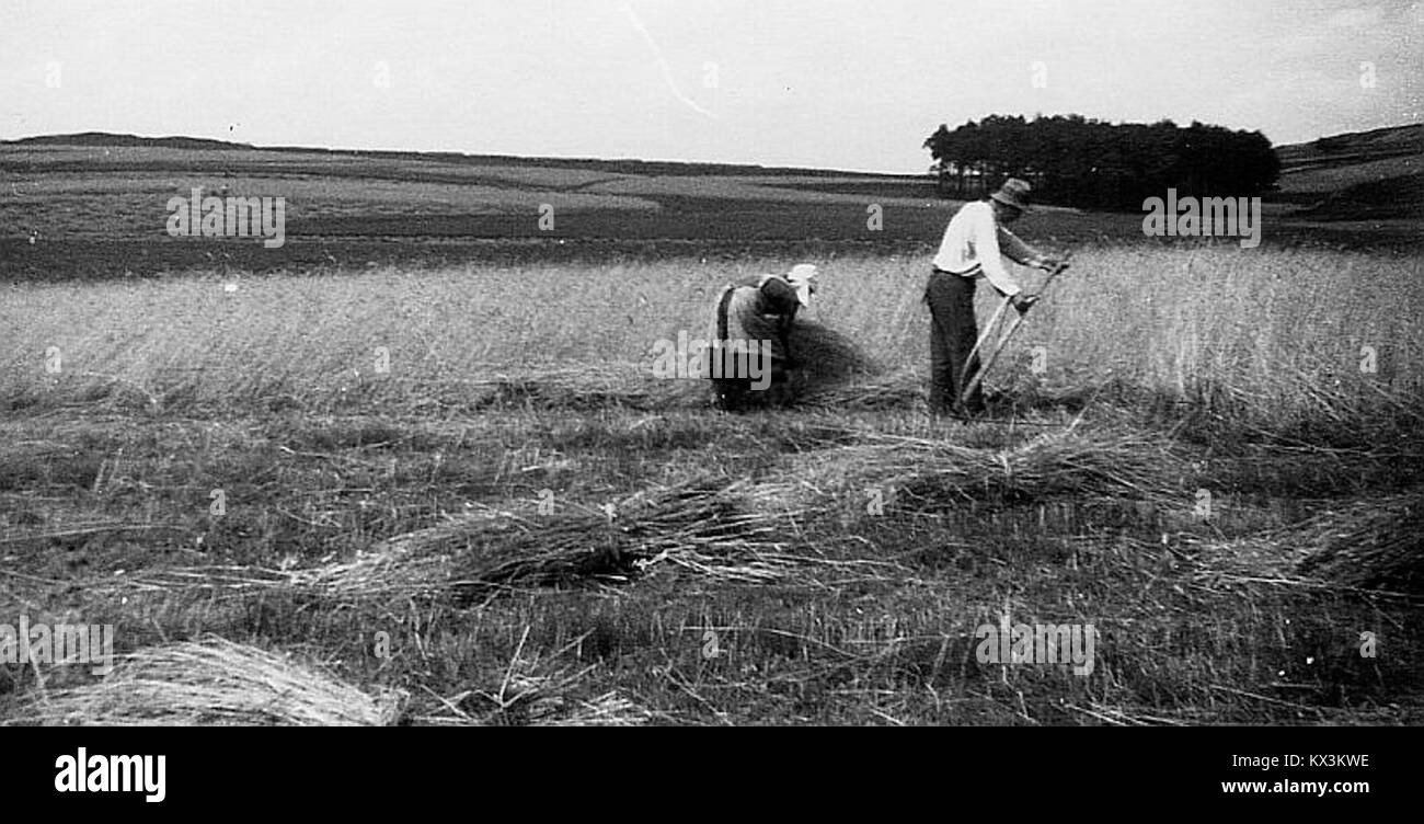 A photograph of Zarki, a town in Poland, highlighting its historical ...