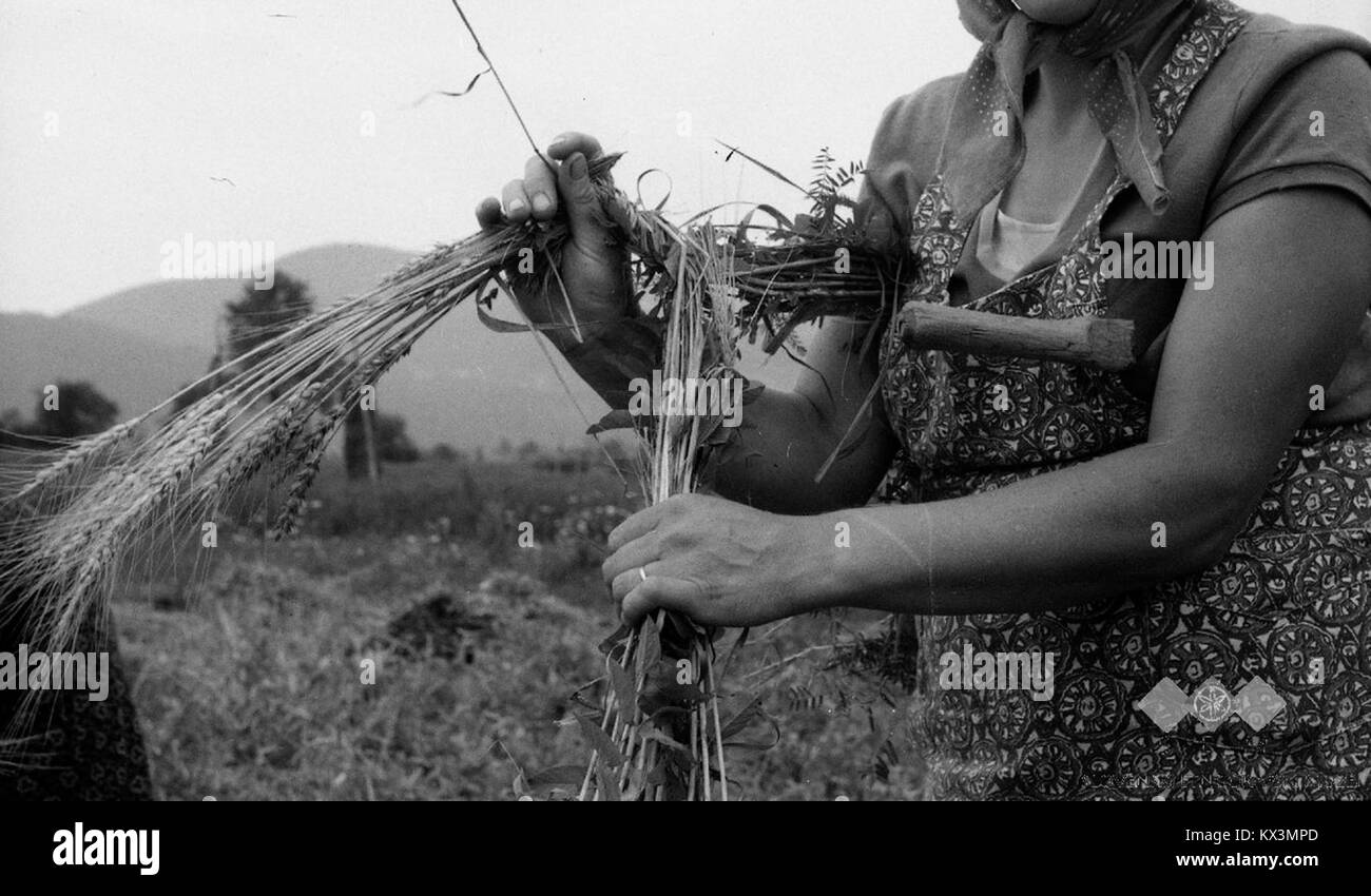 A 1962 photograph from Visevka showing the aftermath of a work-related ...