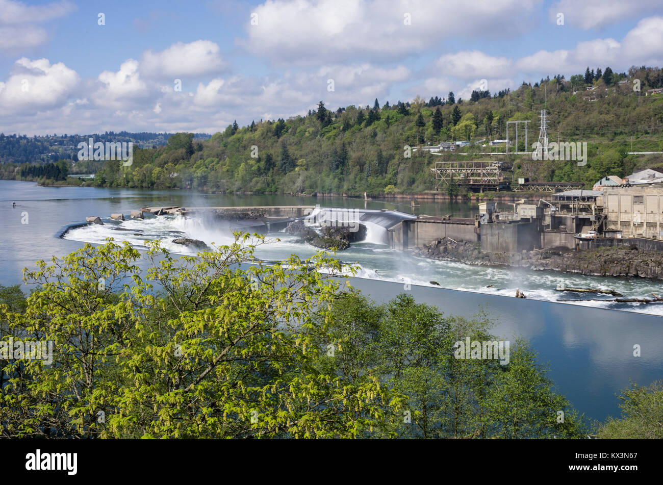 Blue heron paper mill hi-res stock photography and images - Alamy