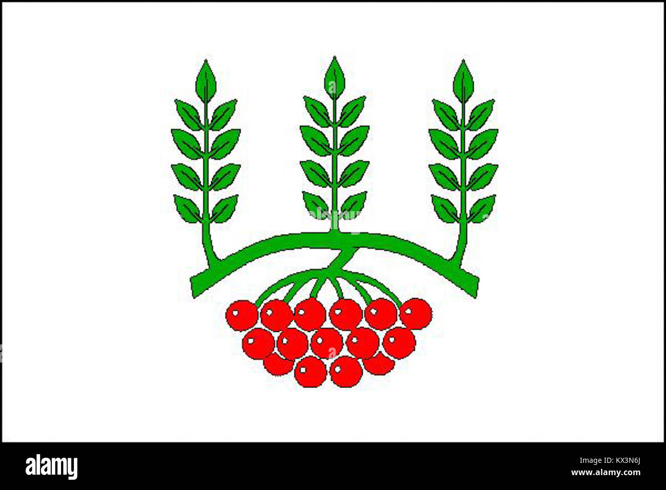 A historical image of the Zeraviny flag, illustrating its cultural and ...