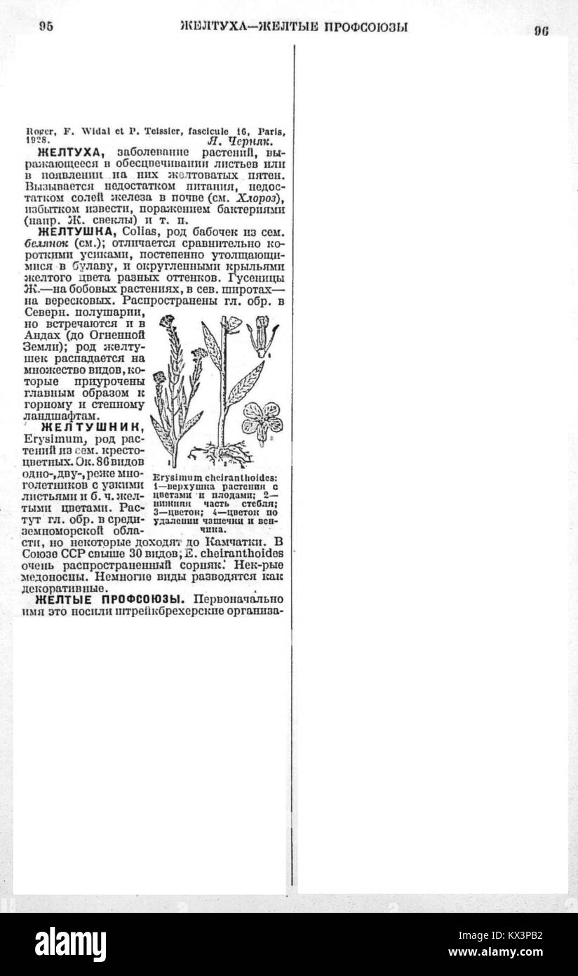 25 48 hi-res stock photography and images - Alamy