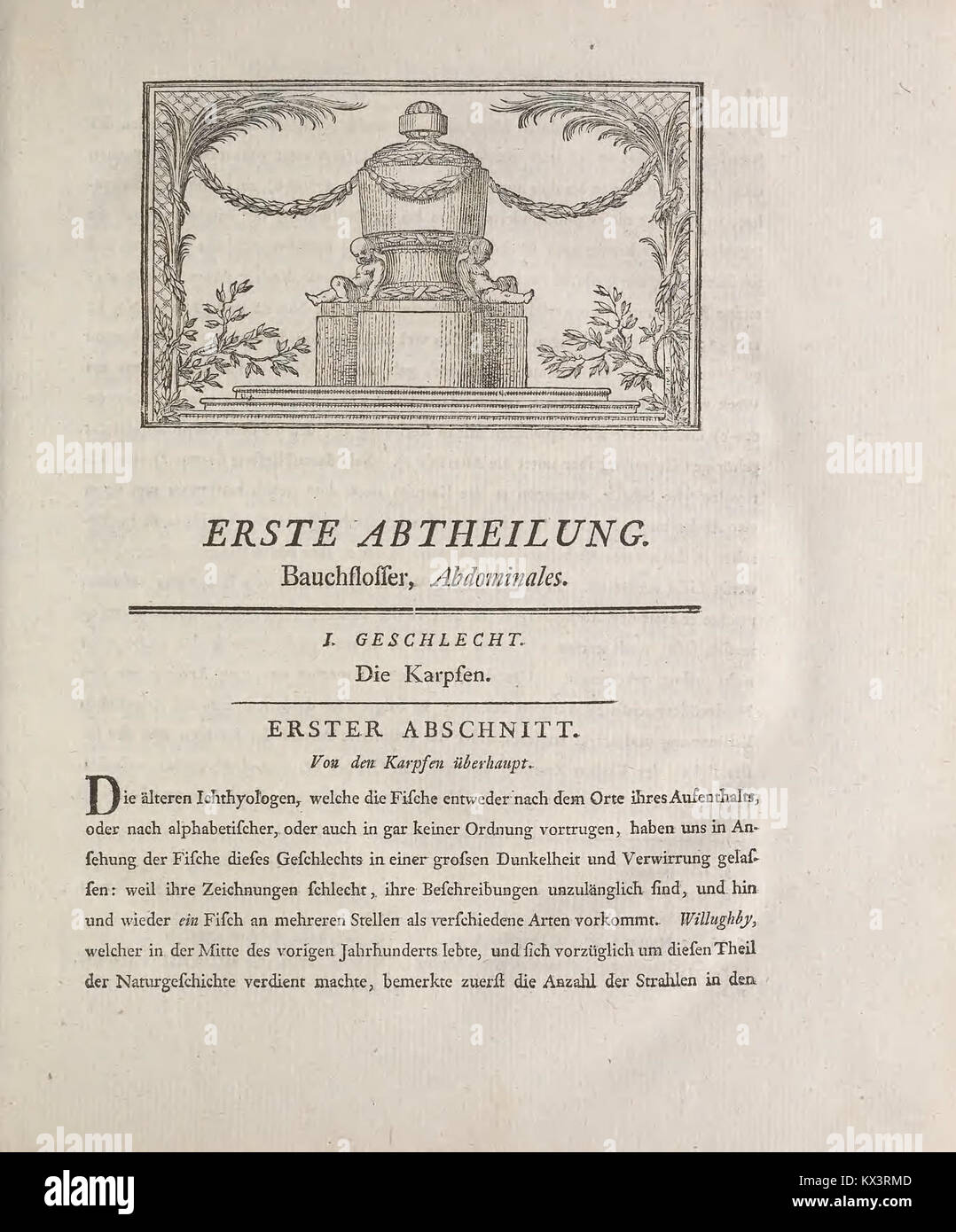 An illustration from D. Marcus Elieser Bloch's 'Oeconomische ...