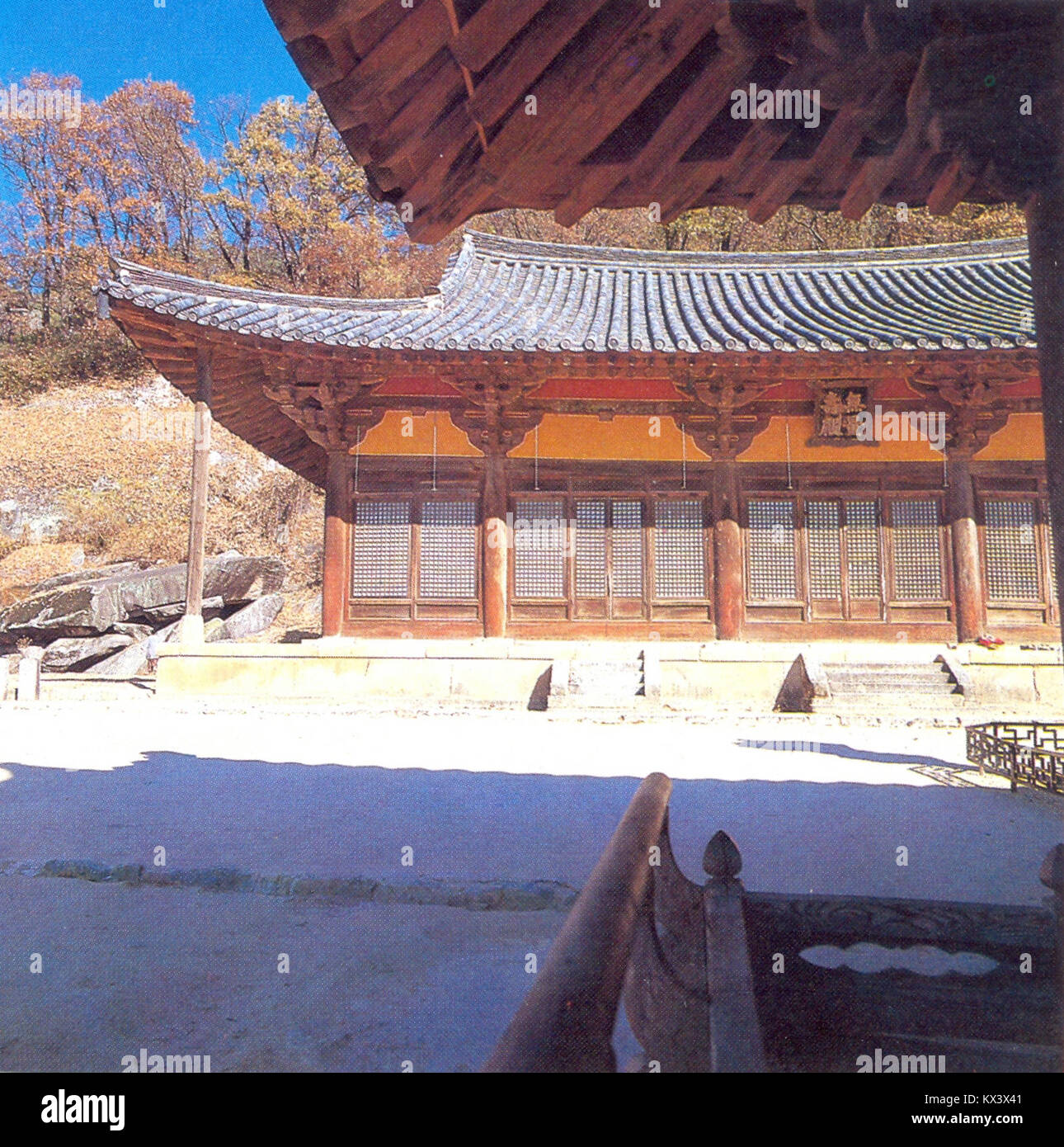 This title appears to be in an unrecognizable script or language ...