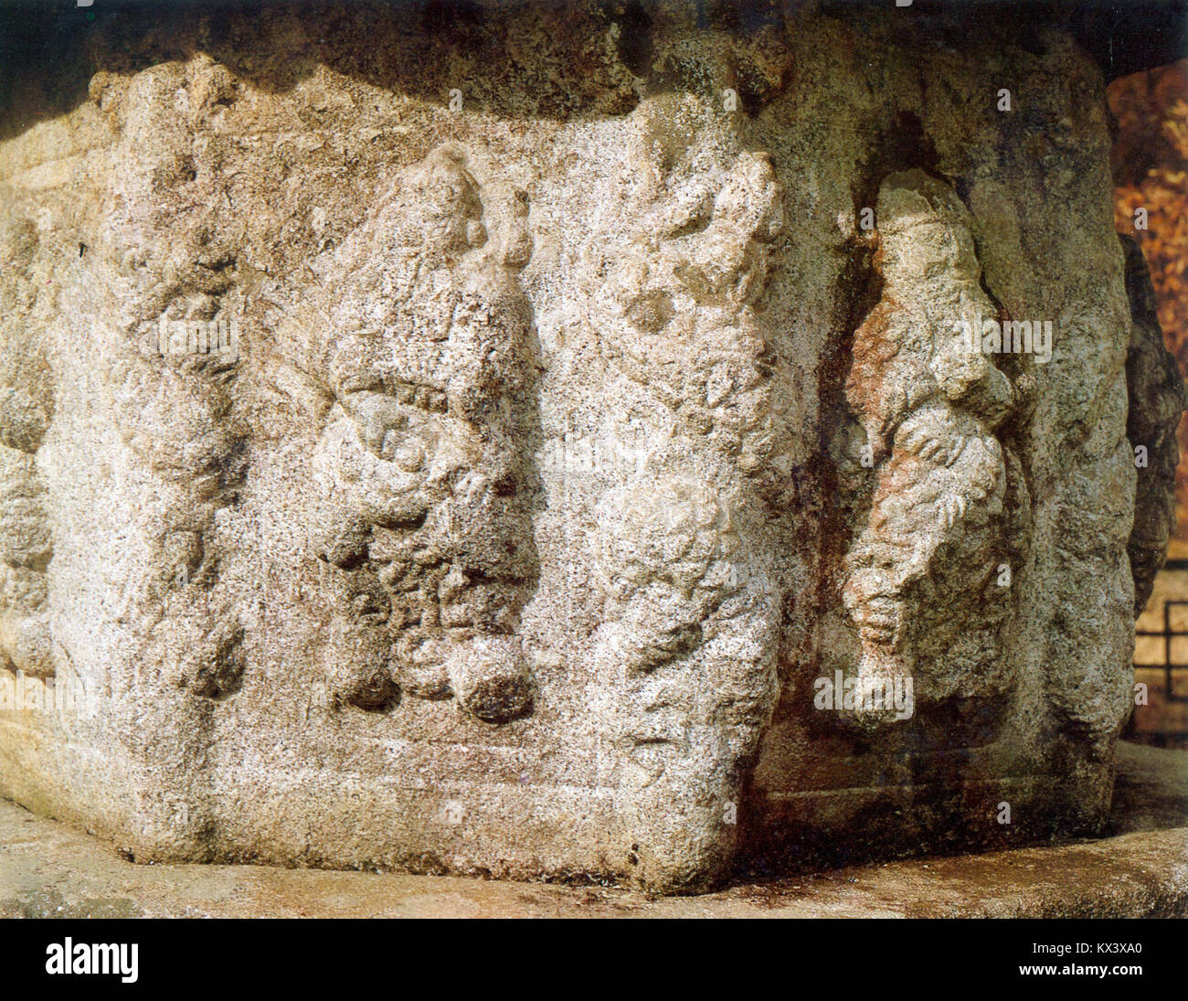 The Title Appears To Be In An Unreadable Or Coded Format Preventing Accurate Translation Or