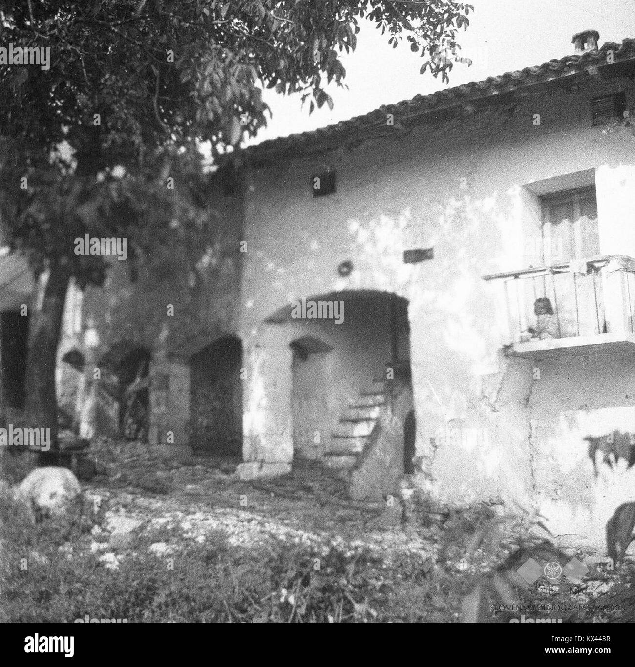 Number evolution Black and White Stock Photos & Images - Alamy