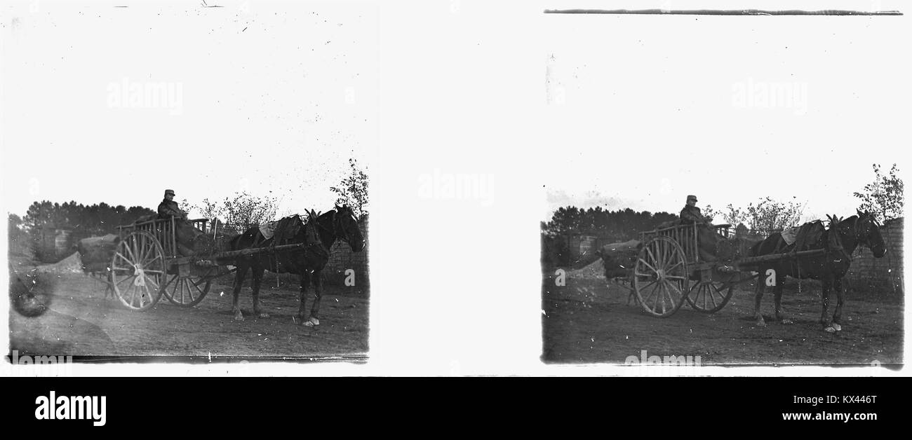 This image shows Raoul Berthel on a cart, part of the Berthel ...