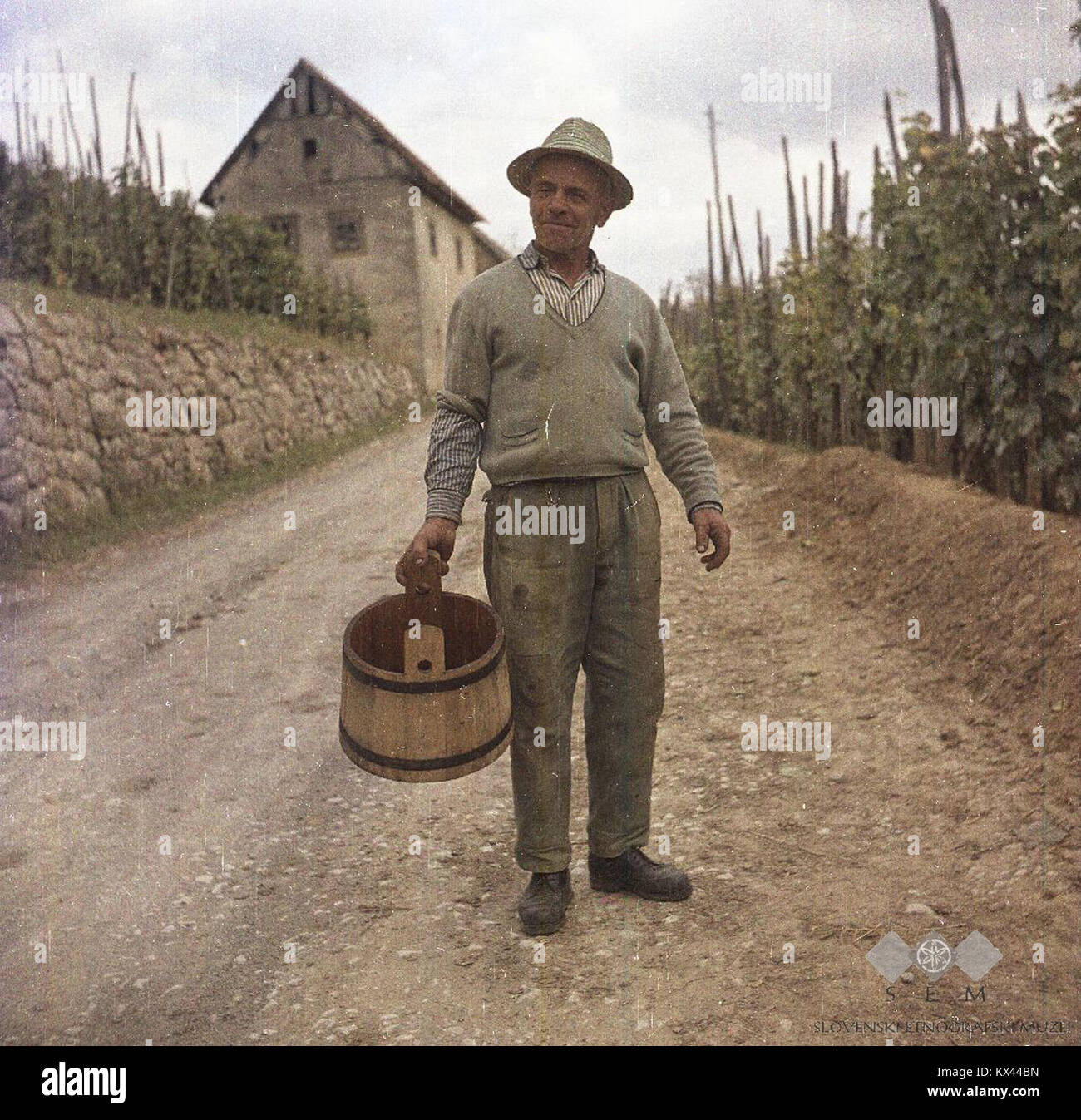 A historical image from 1965 showing workers with a working donkey in ...